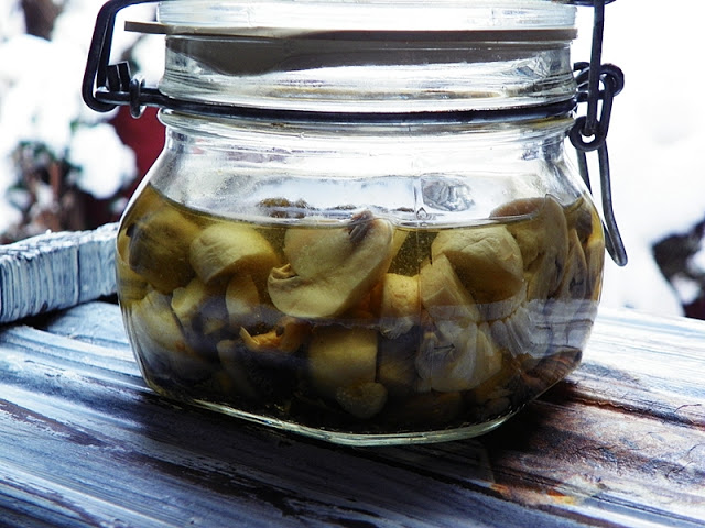 Ukiseljeni Sampinjoni - Recepti